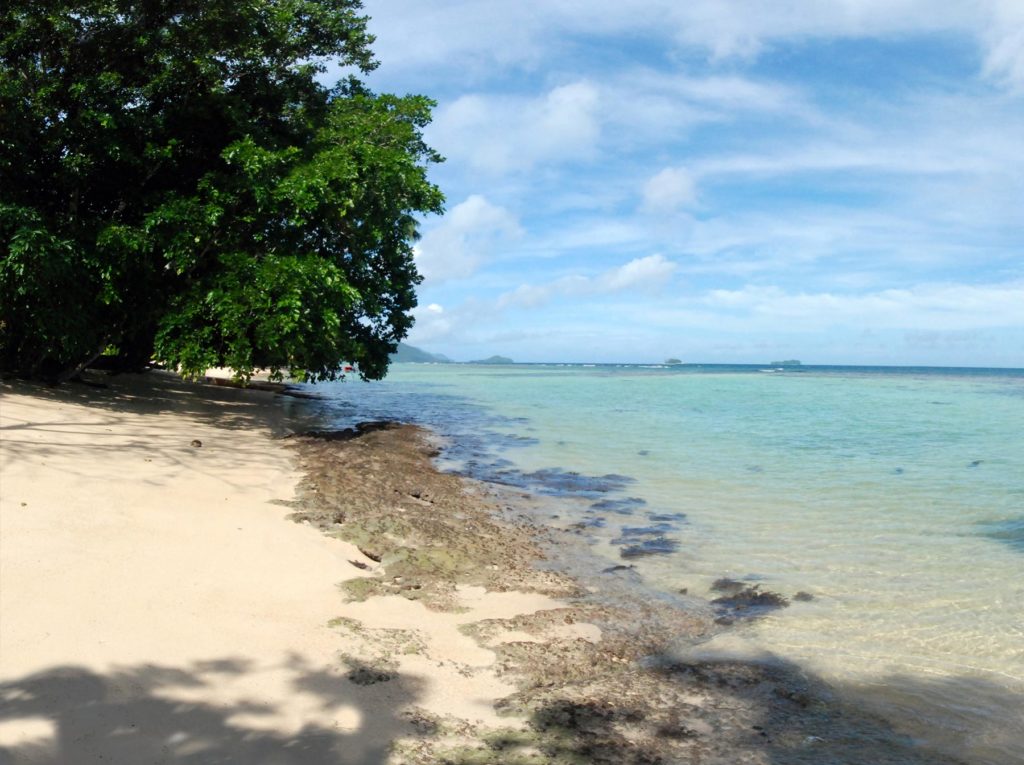 Axiom Mining Annual Report – Magic Media Design